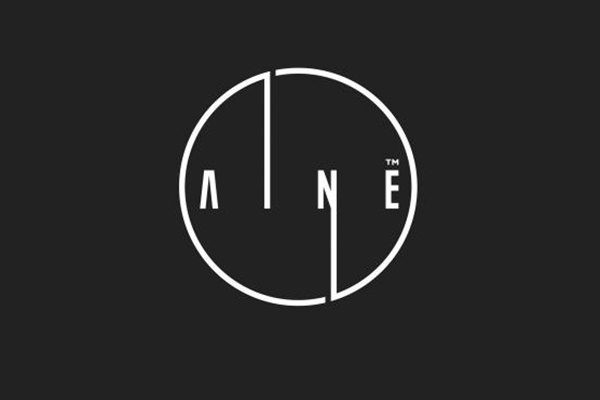 Pole Group lanza AINE